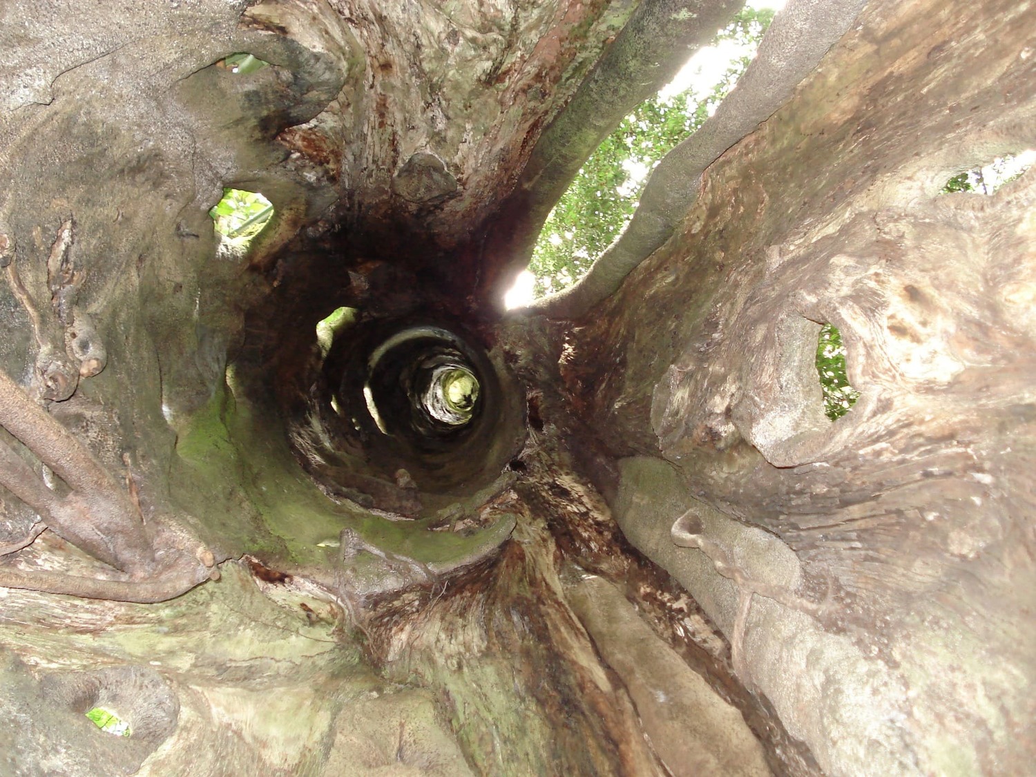 Aburi Botanical Gardens | GhanaTRVL